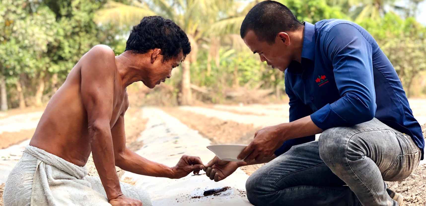 High quality farming guides for smallholder farmers