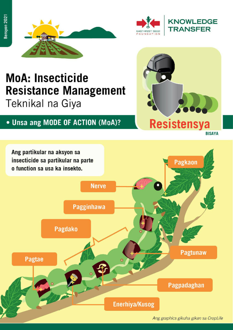Pagdumala sa resistensya sa mga insekto