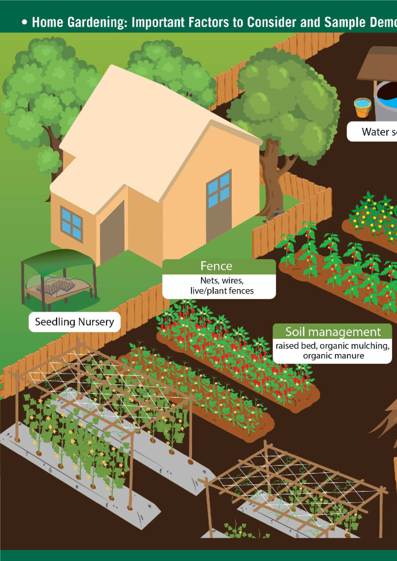 Become a better farmer and increase your yields